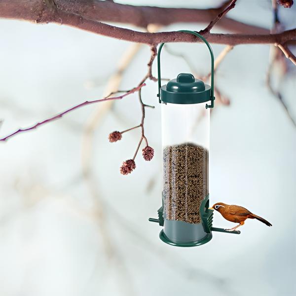 Riputatav linnusöötja | PTAKO – superzebra.ee